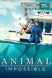 Watch Animal Impossible aka Beast Kept Secrets Season 1 Episode 7 - Dogs Online Now