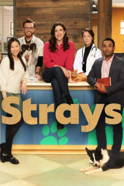 Watch Strays Season 1 Episode 1 - Cat Condo Online Now