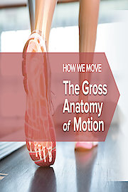 Watch How We Move: The Gross Anatomy of Motion Season 1 Episode 5 ...